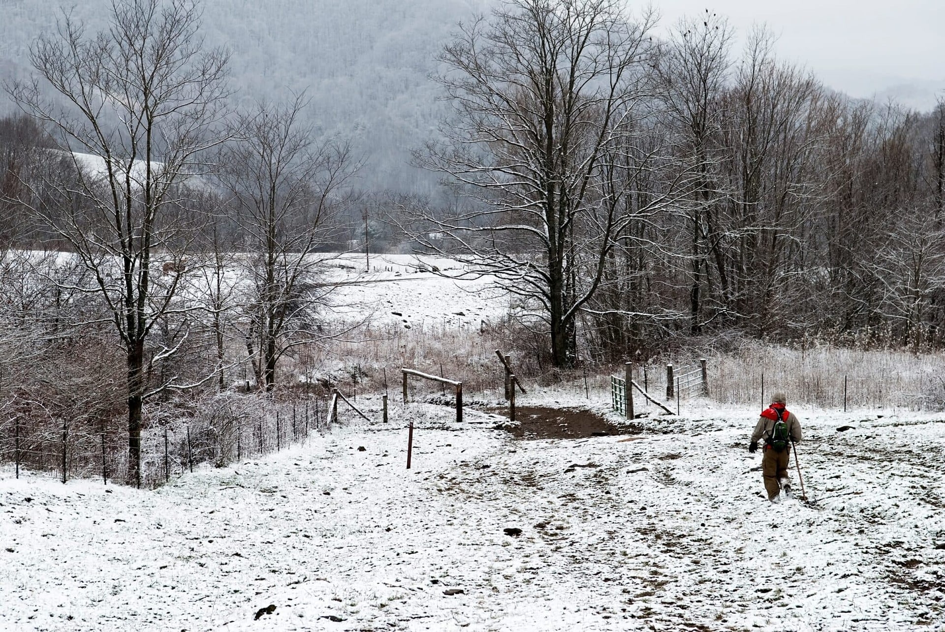 Does It Snow in Tennessee? All TN Locations with Snow - TravelMasta